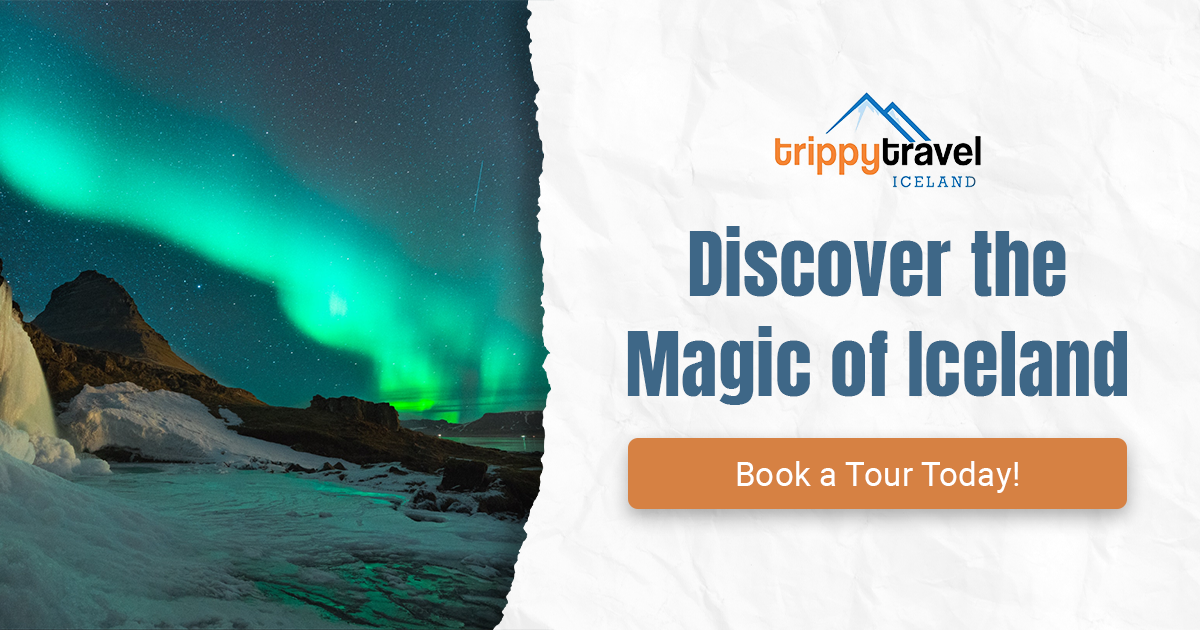 Discover the Magic of Iceland - Trippy Travel Iceland